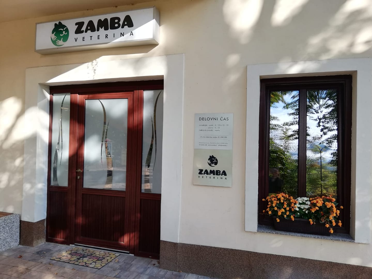 zamba - Web center blog